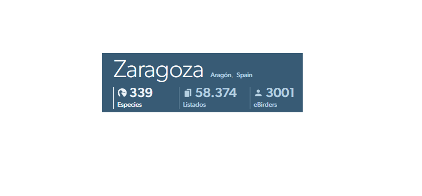Zaragoza, equipo de revisión - eBird Spain