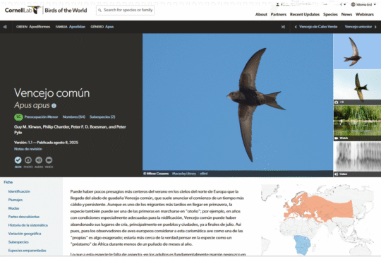 Desafío eBirder del mes de mayo 2026 - eBird Spain