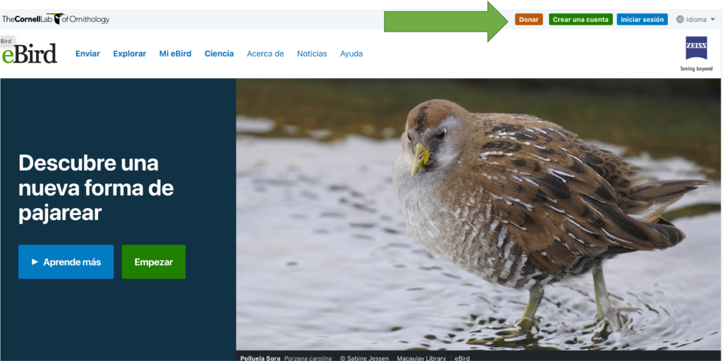 ¿Y si pajareamos juntos? Usemos los Reportes de Viaje de eBird - eBird ...