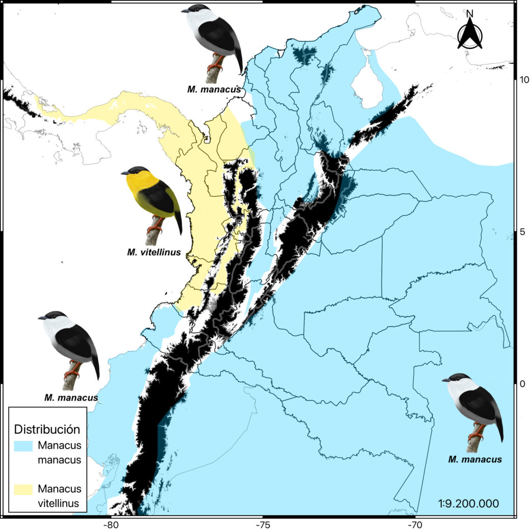 La taxonomía de las aves y su importancia en eBird Colombia - eBird ...