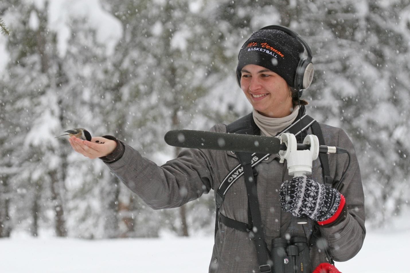 The Social Media Network Of Nuthatches - eBird Montana