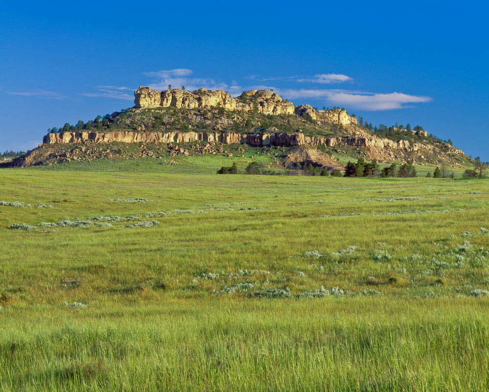 Eastern Montana- A Birder’s Paradise! - eBird Montana