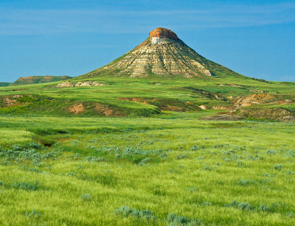 Eastern Montana- A Birder’s Paradise! - eBird Montana
