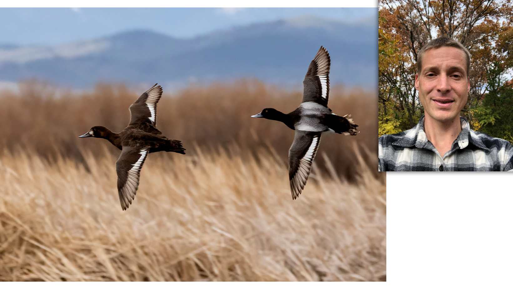 Introducing a new bird to the flock: UM Professor Dr. Thomas Riecke ...
