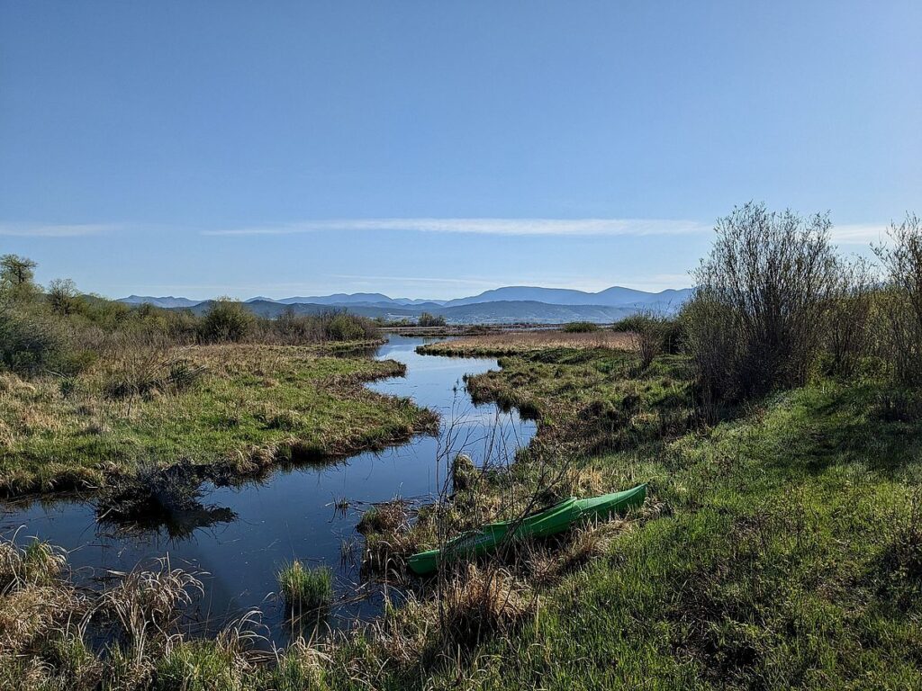 Exploring Montana’s Lake Helena IBA - eBird Montana
