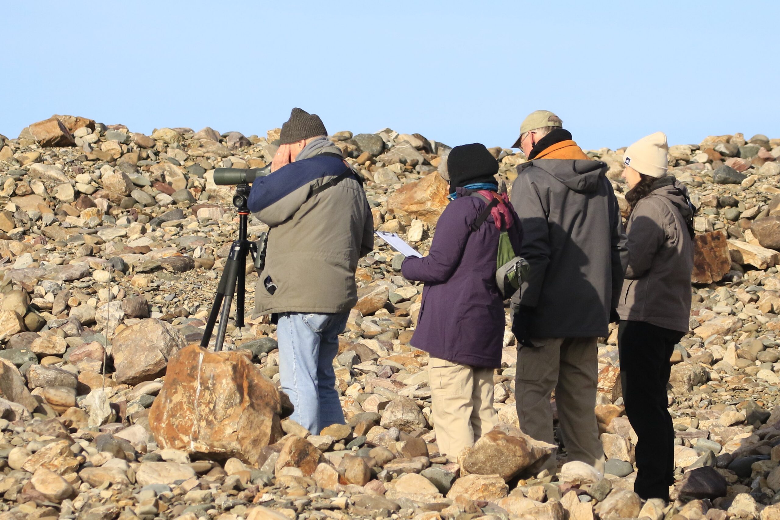 Montana Christmas Bird Counts 2025/2026 - eBird Montana