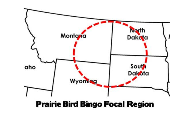 Prairie Bird Bingo Is Back! - eBird Montana