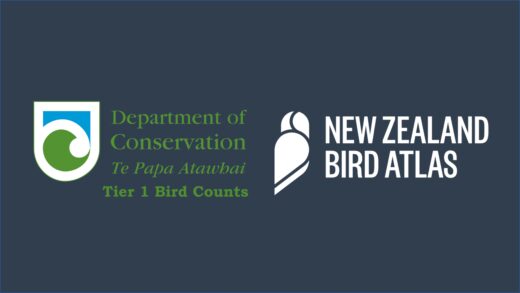 DOC Tier 1 2021/22 Season Counts Uploaded! - New Zealand Bird Atlas