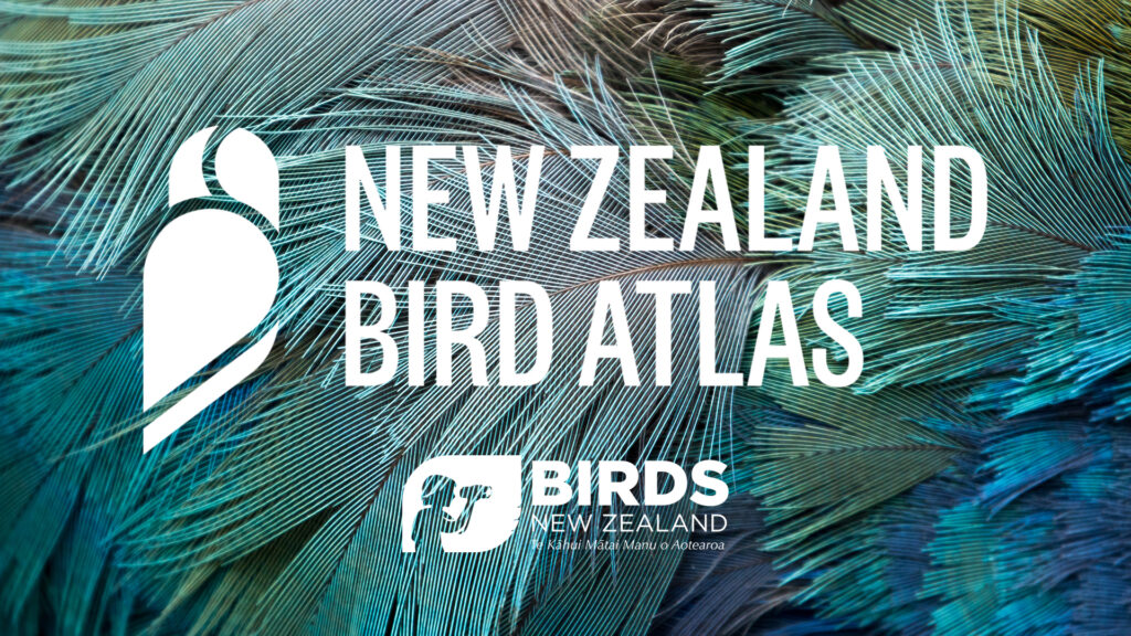 New Zealand Bird Atlas - Discover a new world of birding...