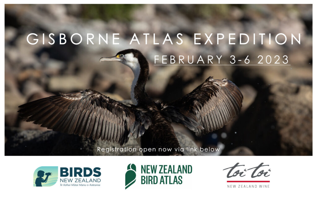 Gisborne Atlas Expedition 3 - 6 February 2023 - New Zealand Bird Atlas