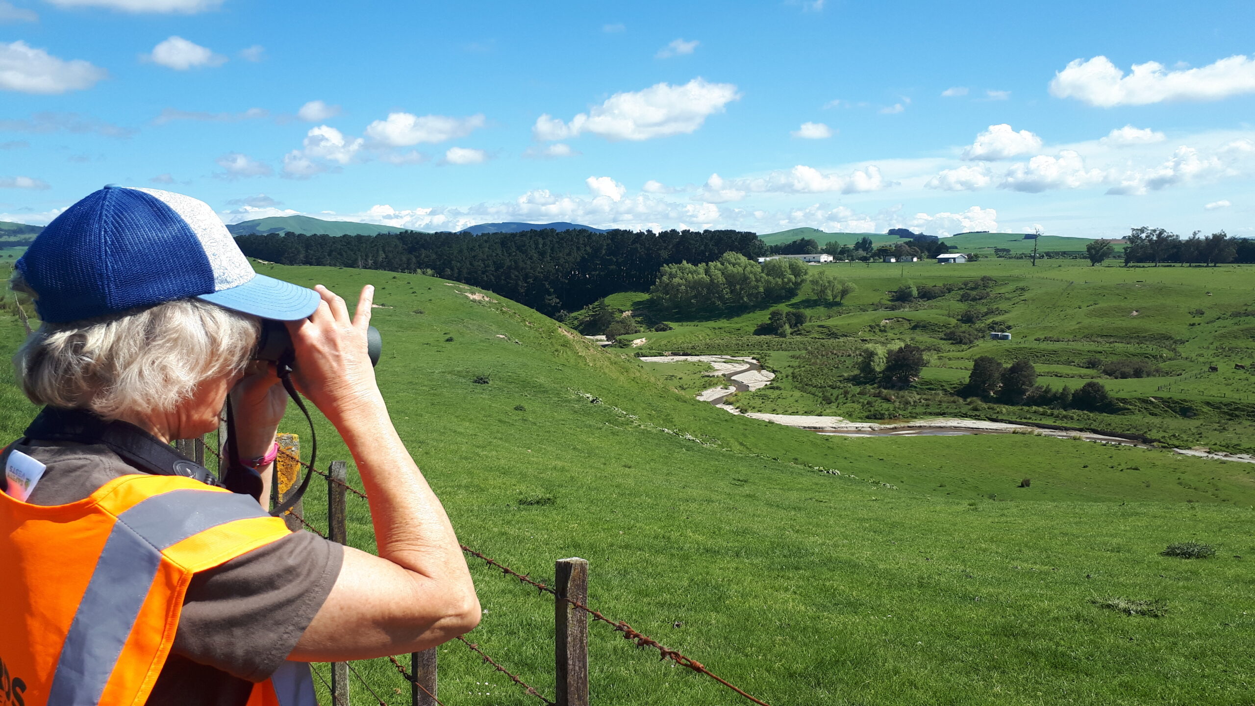 A Dannevirke Atlas Adventure - New Zealand Bird Atlas