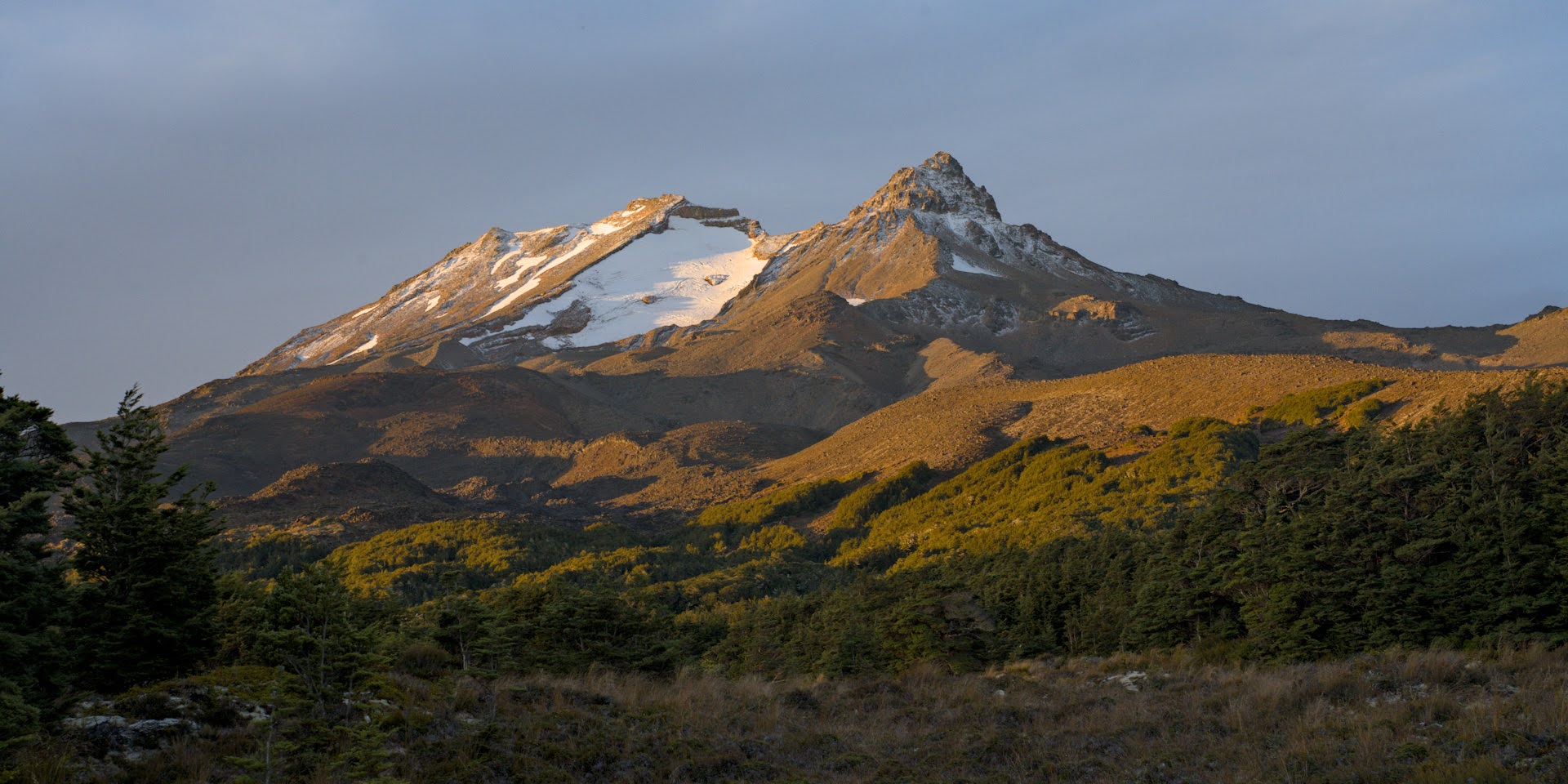 A Ruapehu Atlas Adventure - New Zealand Bird Atlas