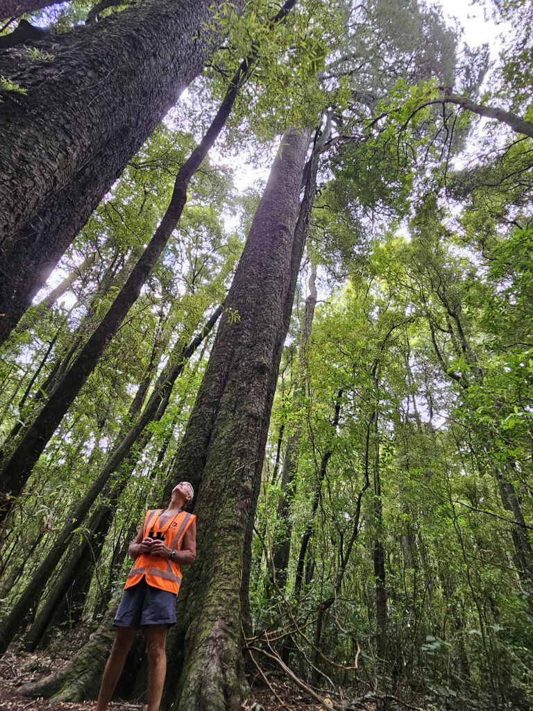Filling in summer Atlas gaps in the Tararua and Hawkes Bay area ...