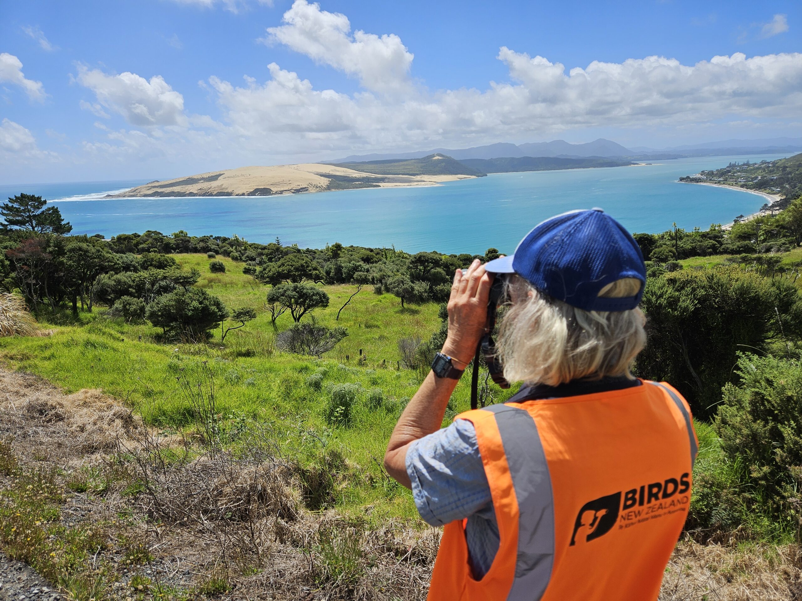 Filling in summer Atlas gaps in the Tararua and Hawkes Bay area ...