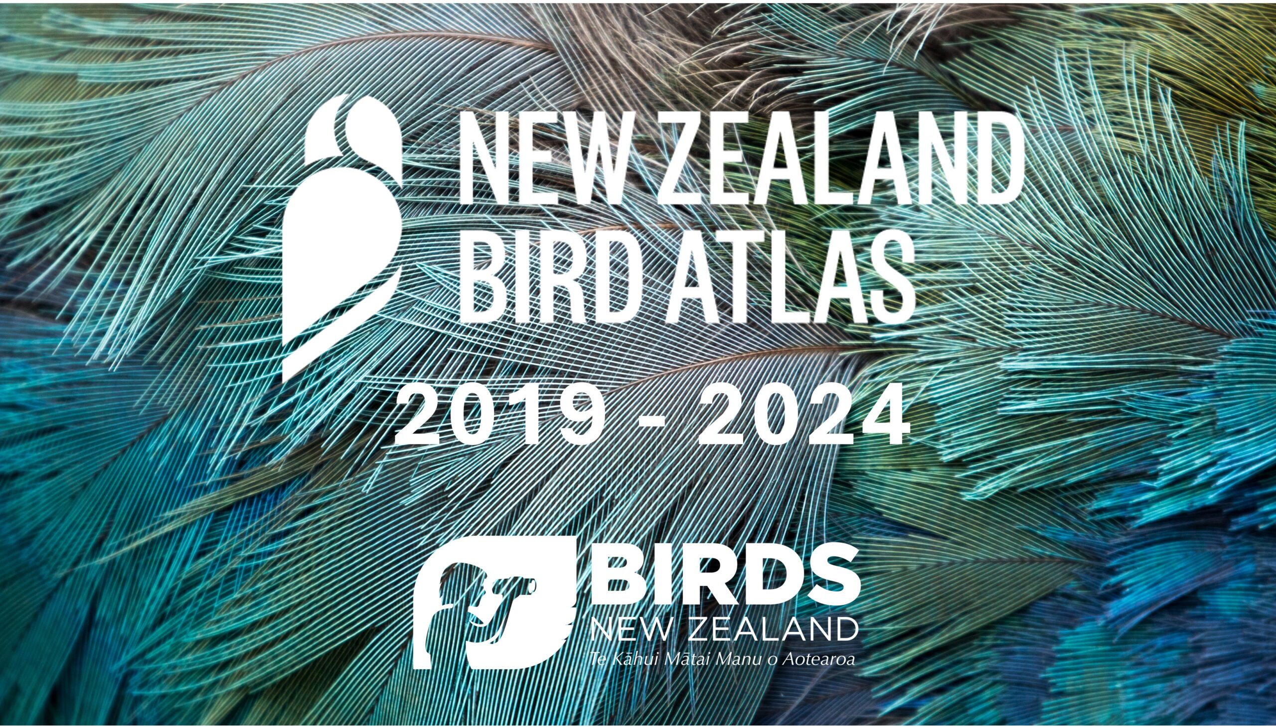New Zealand Bird Atlas - Discover a new world of birding...