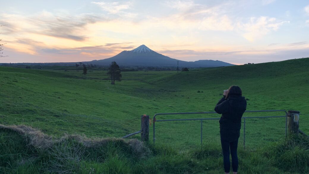 New Zealand Bird Atlas finishes on a high - New Zealand Bird Atlas
