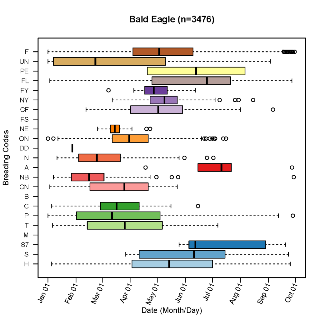 Species Spotlight: Bald Eagle - New York Breeding Bird Atlas