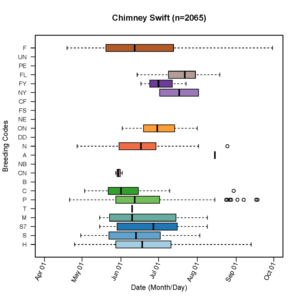 Species Spotlight - Chimney Swift - New York Breeding Bird Atlas
