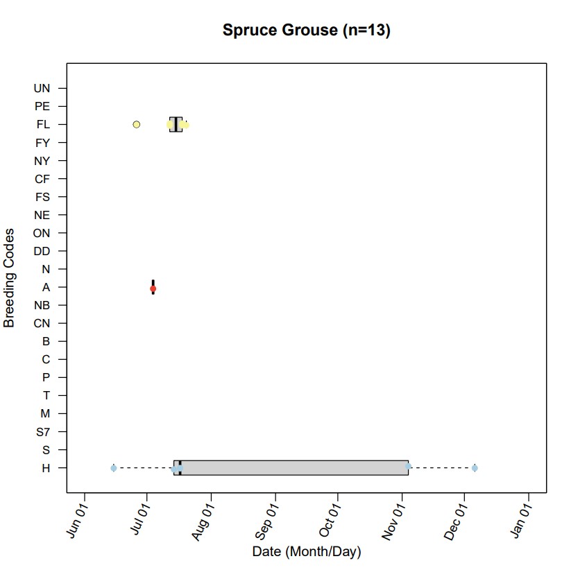 Species Spotlight - Spruce Grouse - New York Breeding Bird Atlas
