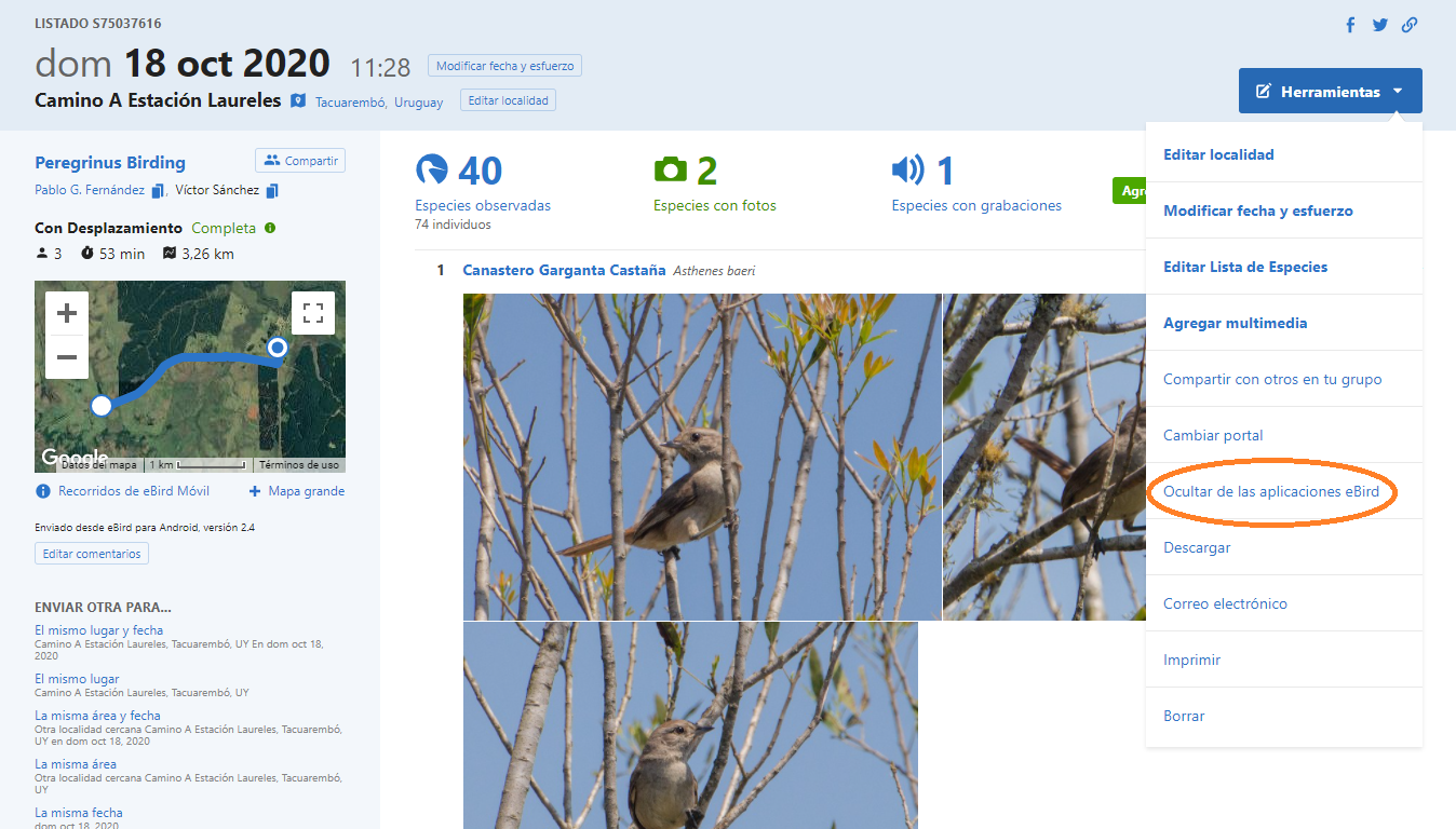 Privacidad en eBird y cómo proteger tus datos - eBird Uruguay