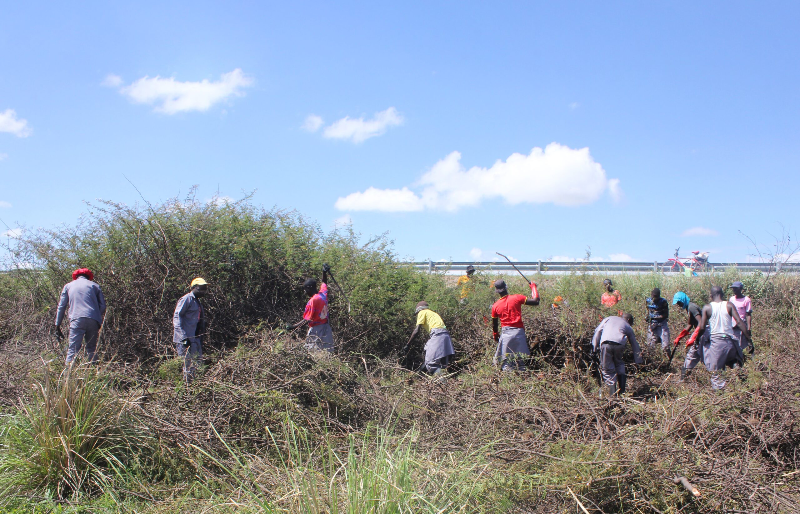 Restoring the Barotse Floodplains, the Land of the Kuomboka. - eBird Zambia