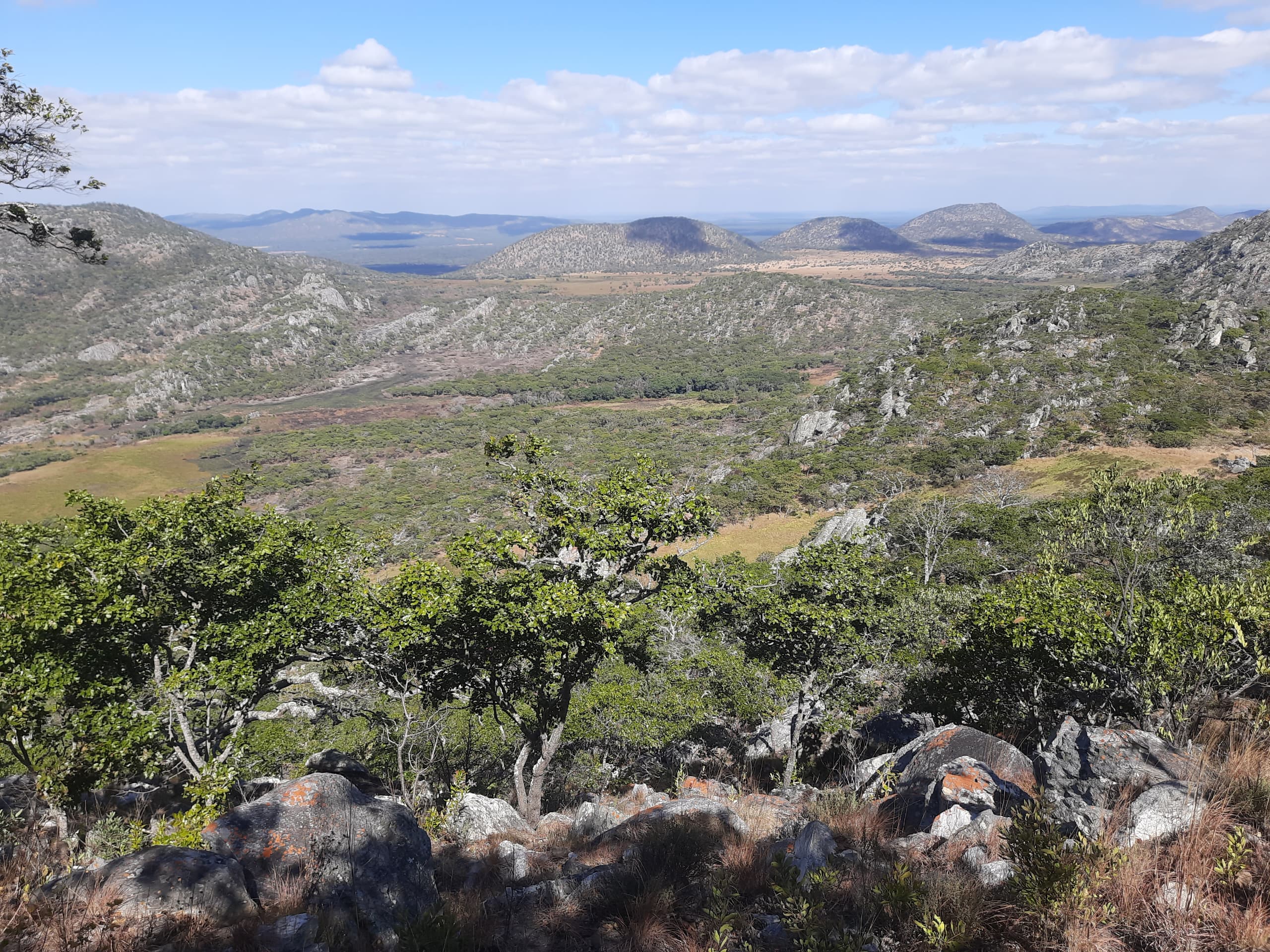Climbing Mount Mumpu - eBird Zambia