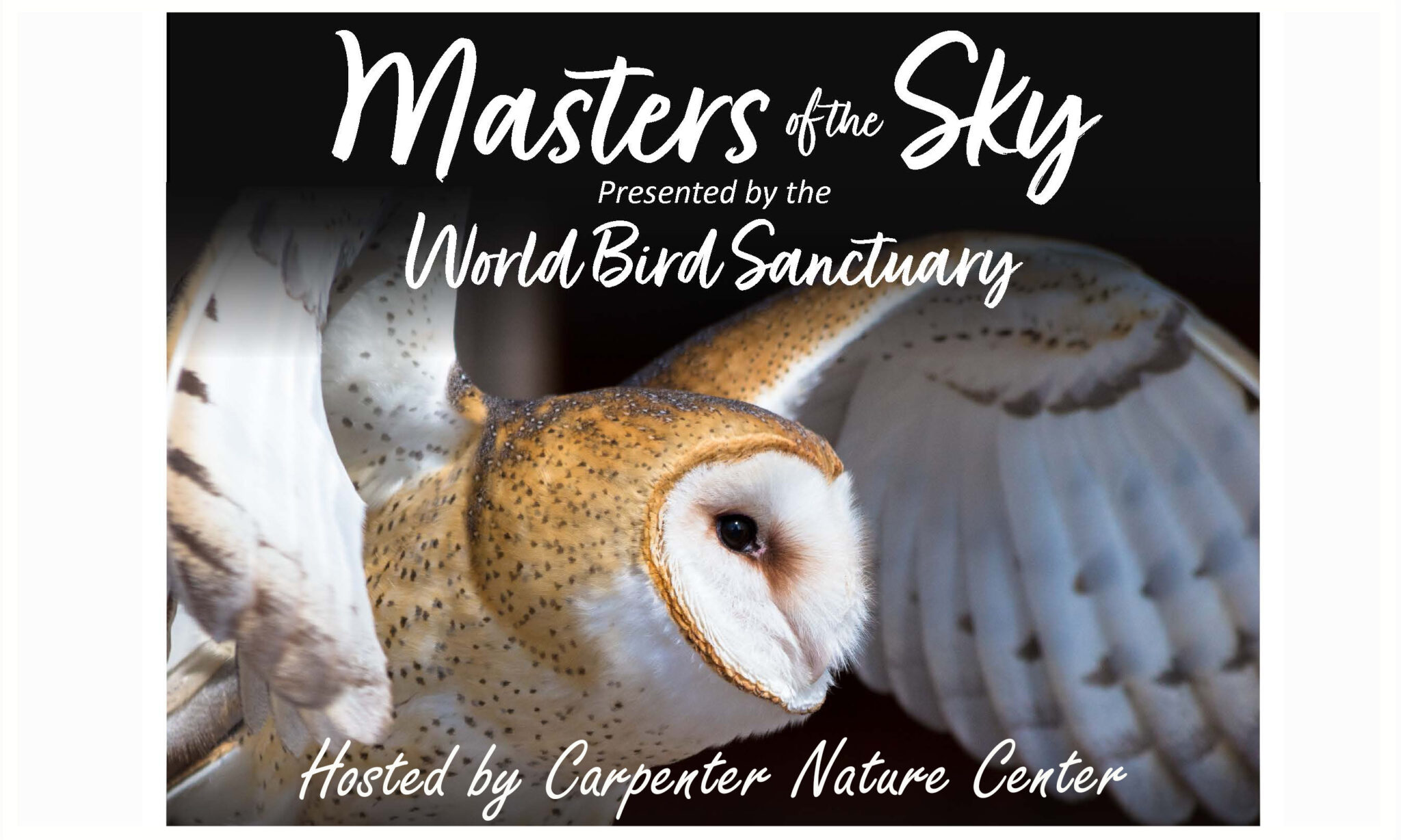 Masters of the Sky Weekend, March 1-2, 2025 - eBird Minnesota