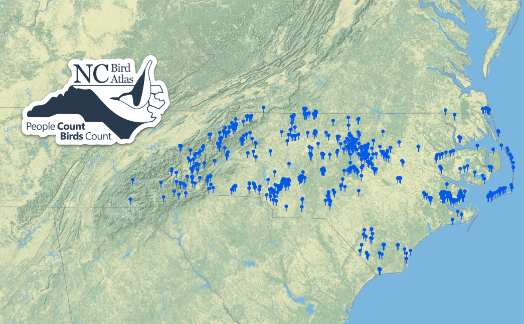 North Carolina Bird Atlas - Discover a new world of birding...