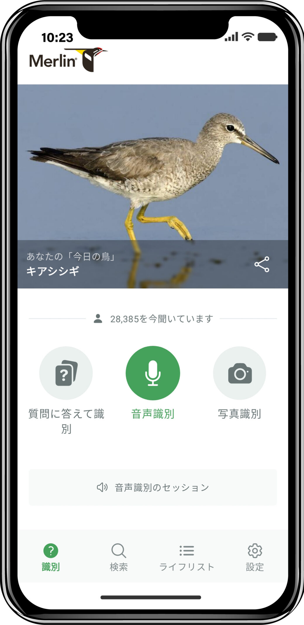 日台協働キャンペーン！鳥の声をeBirdに投稿しよう - eBird Japan