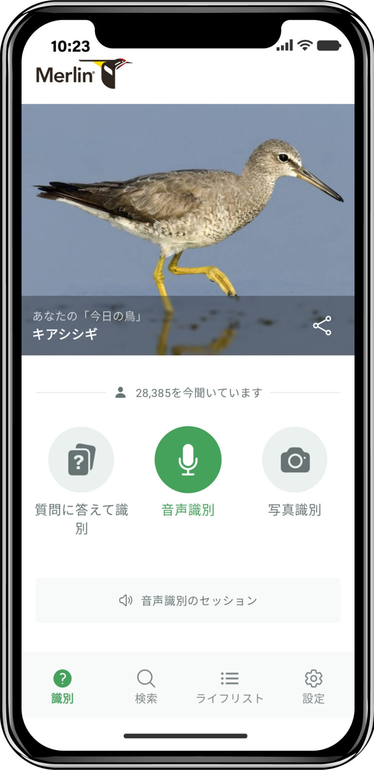 日台協働キャンペーン！鳥の声をeBirdに投稿しよう - eBird Japan