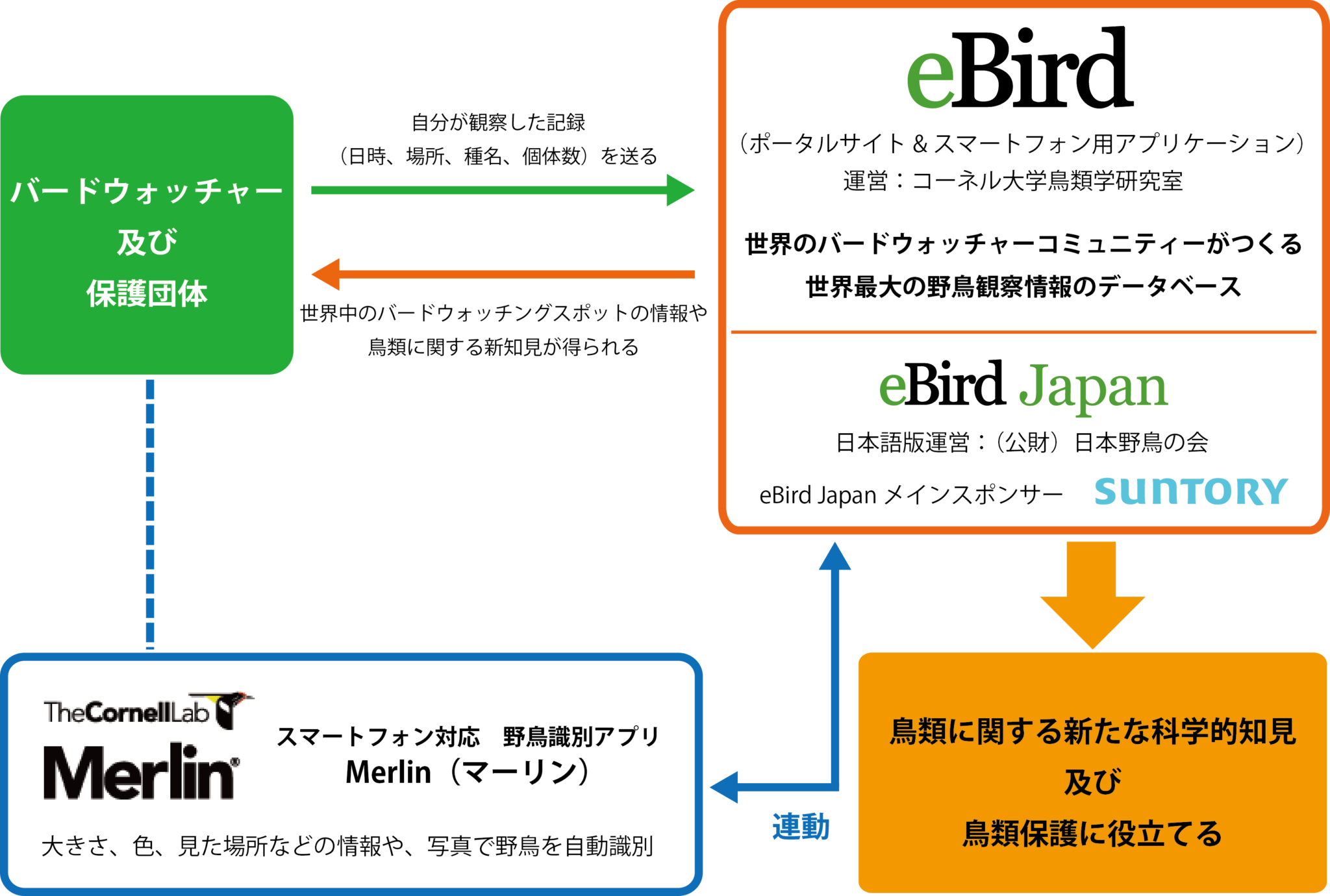 eBirdで広がる世界 - eBird Japan
