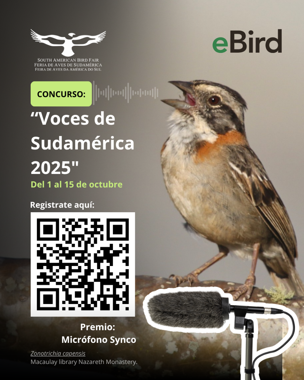 Participación de eBird Central y eBird Bolivia en la XIV Feria Sudamericana de Aves – La Paz ...
