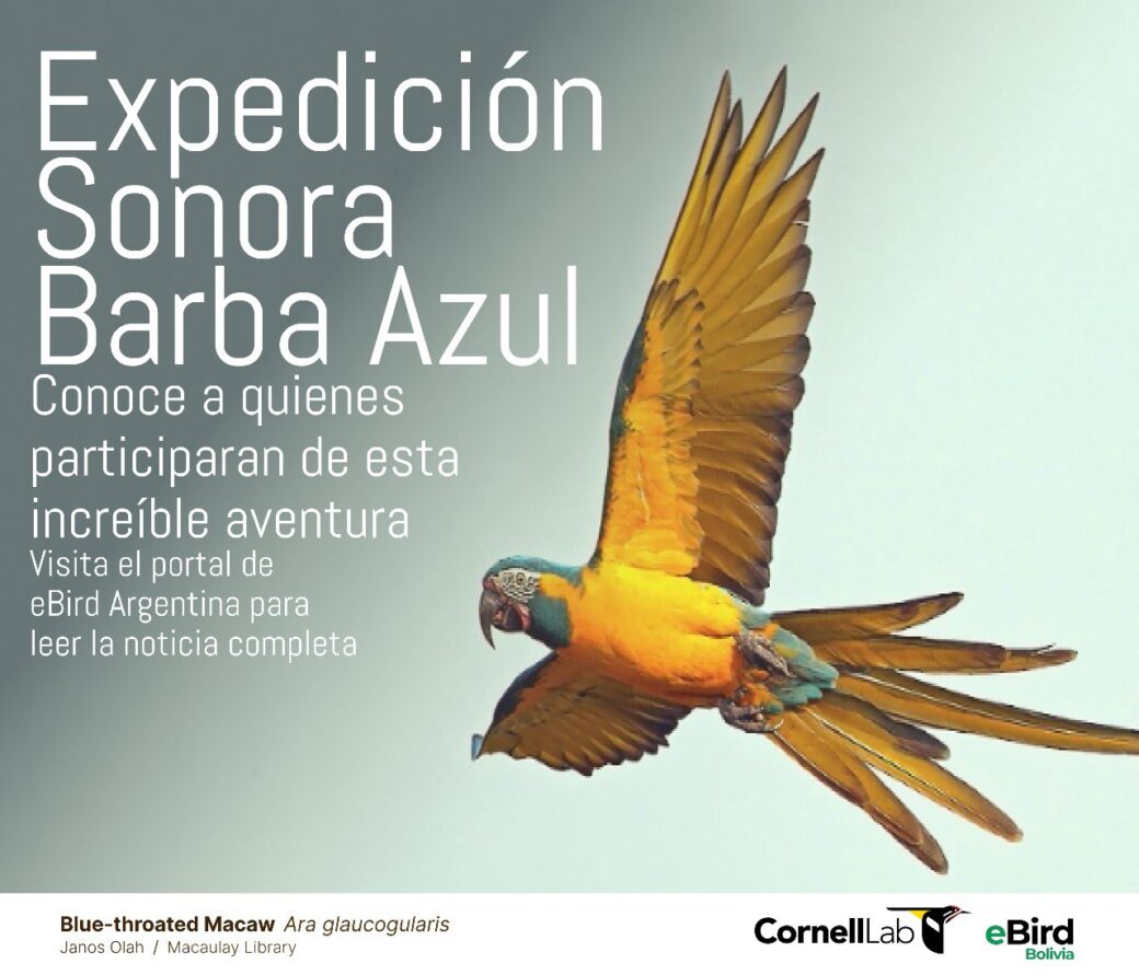 Participación de eBird Central y eBird Bolivia en la XIV Feria Sudamericana de Aves – La Paz ...
