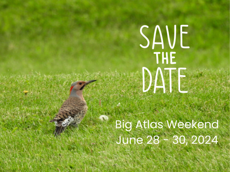 Pennsylvania Bird Atlas - Discover a new world of birding...