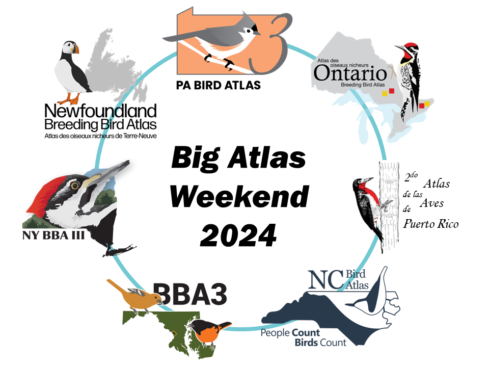 Big Atlas Weekend 2024 - Pennsylvania Bird Atlas