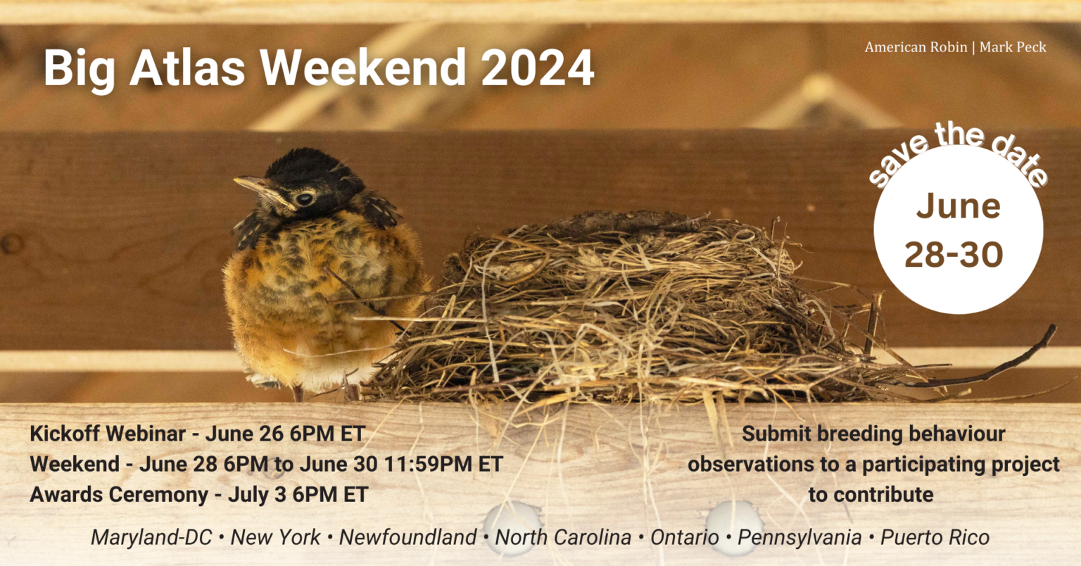 Pennsylvania Bird Atlas - Discover a new world of birding...