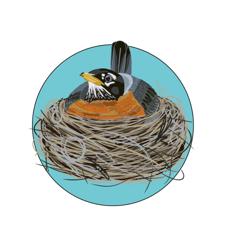 Pennsylvania Bird Atlas - Discover a new world of birding...