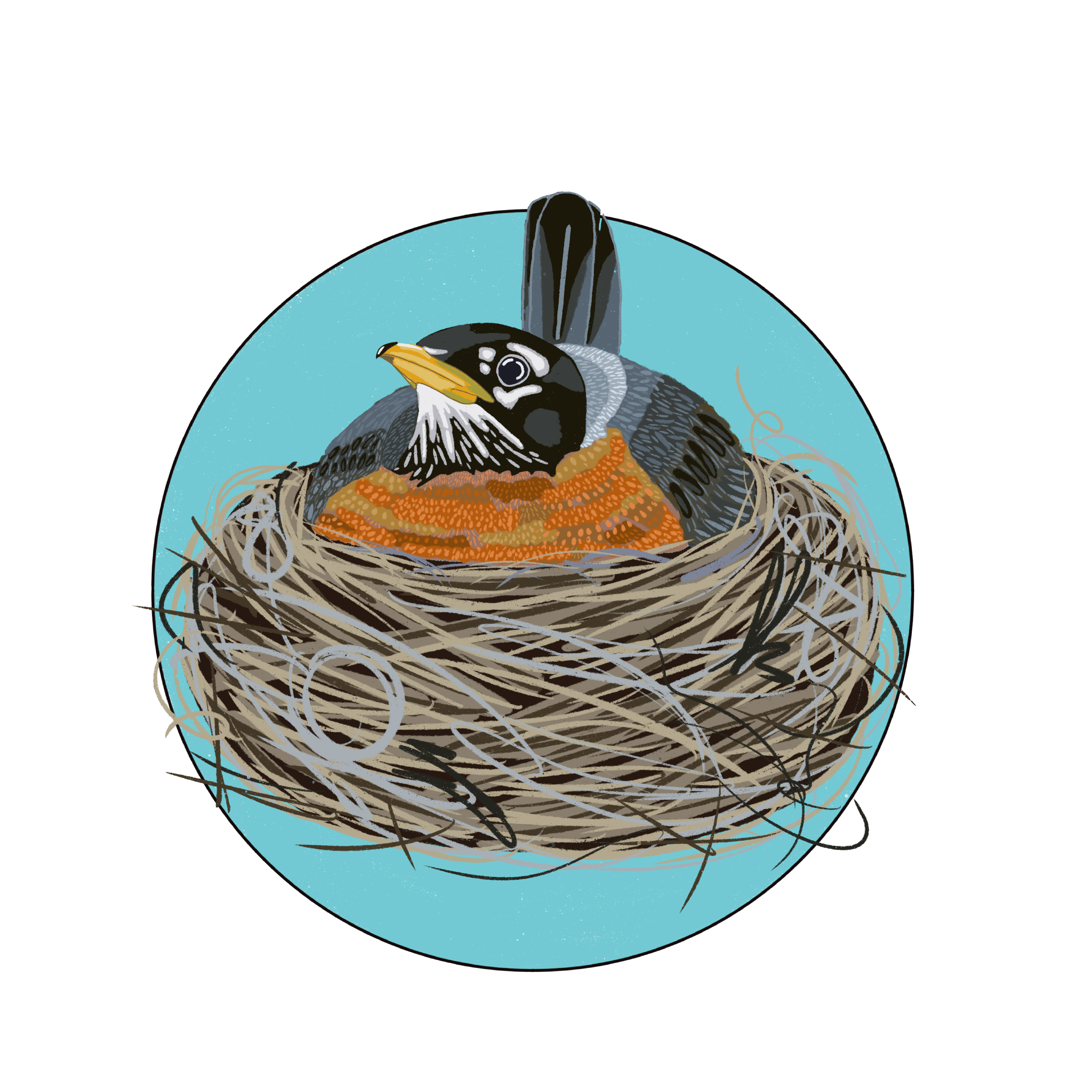 Pennsylvania Bird Atlas - Discover a new world of birding...
